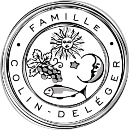 ACCUEIL | DOMAINE Simon COLIN